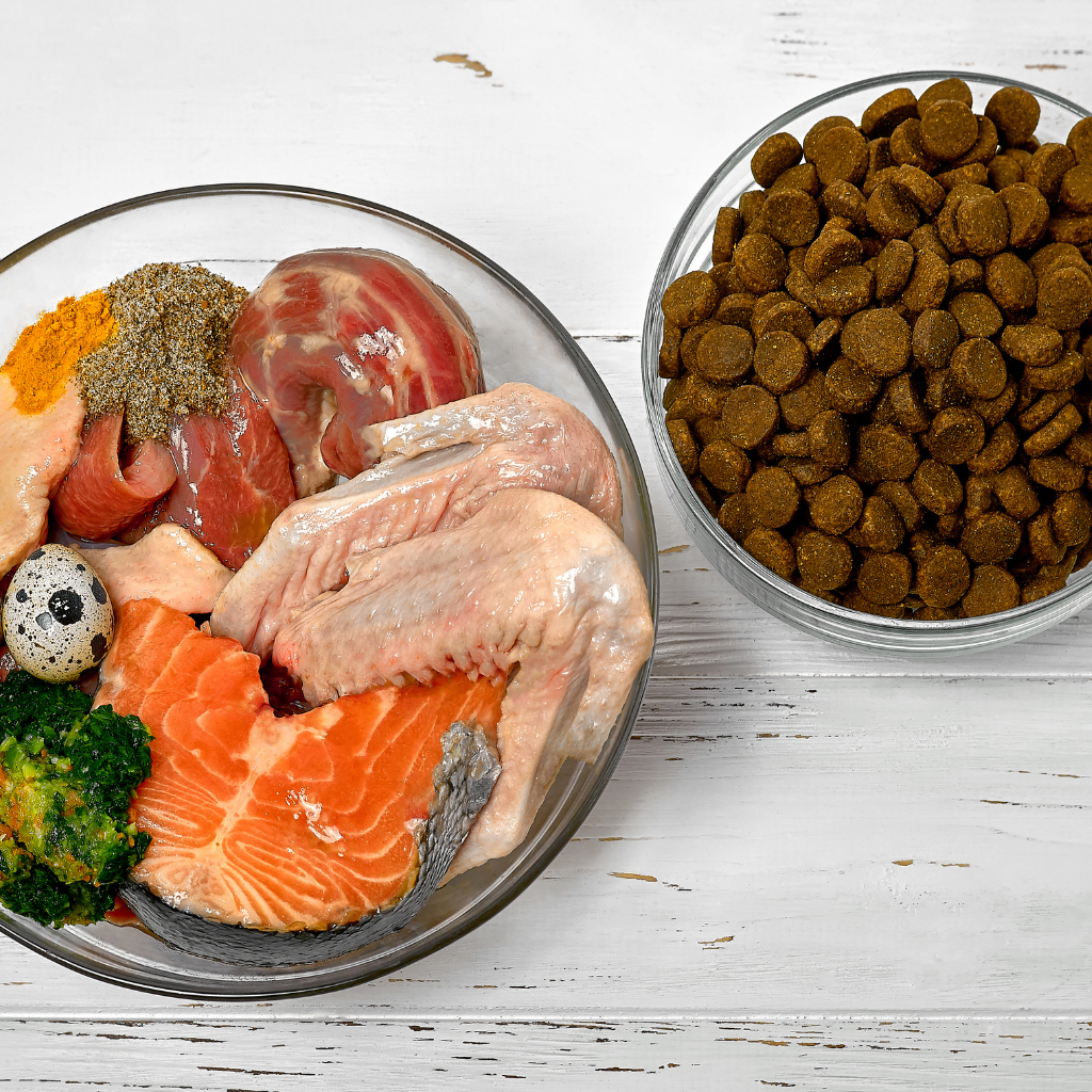 Dieta BARF vs. Alimentación Tradicional: ¿Qué es lo Mejor para tu Masc ...